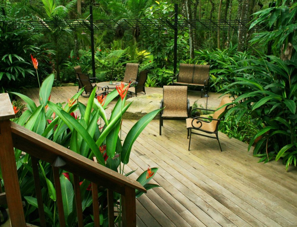 Davis Island Paradise – Conner Landscape Architects