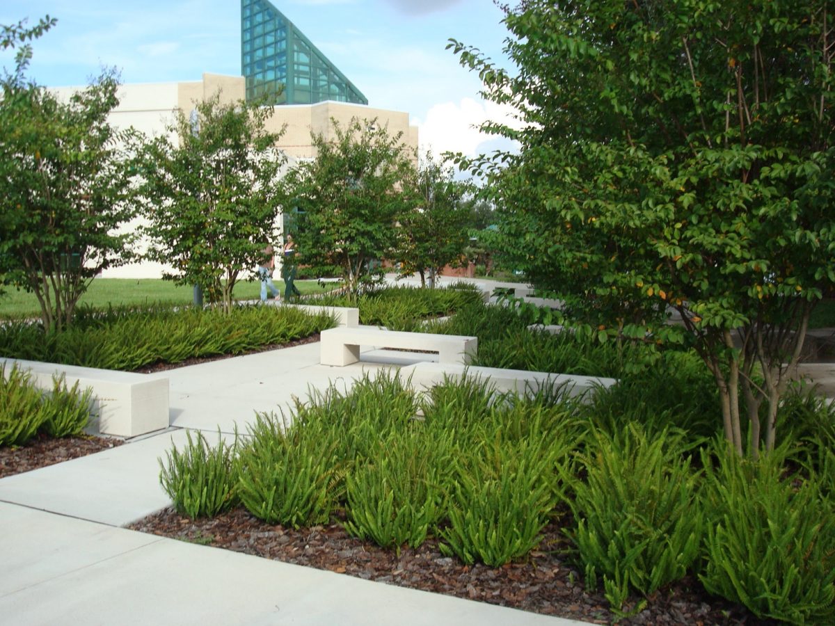 USF Marshall Center – Conner Landscape Architects