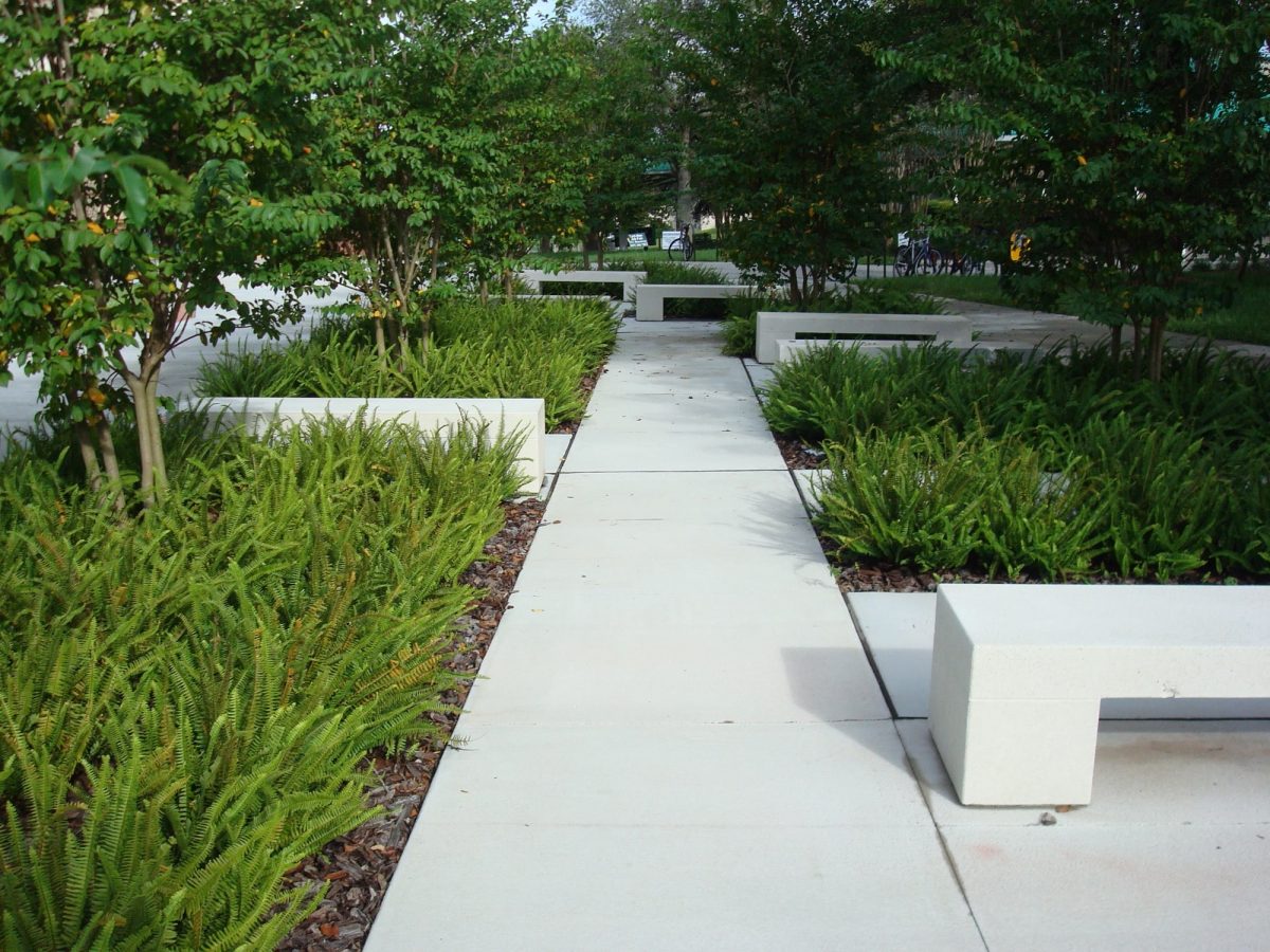 USF Marshall Center – Conner Landscape Architects