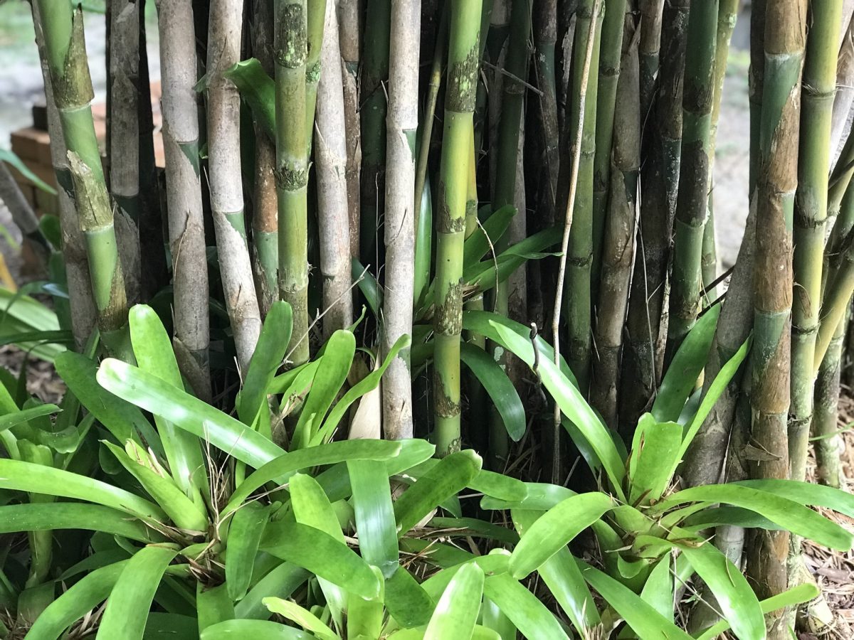 Firm – Conner Landscape Architects